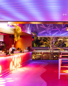 Functions + Events at Stories